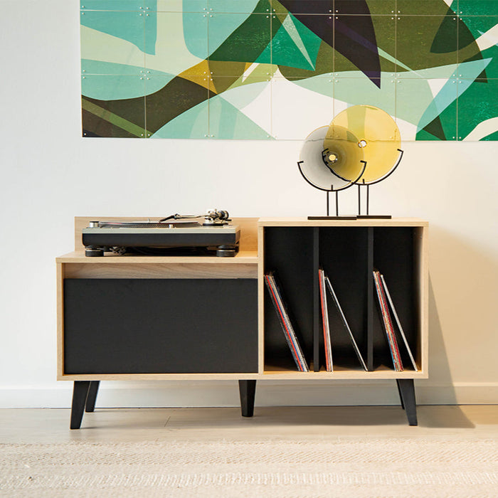 Rack Vinilo - Estilo Vintage para tu living | Medular Diseño